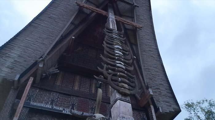 Mengenal Tradisi To Merok, Kerbau tidak Disembelih tapi Ditombak ...