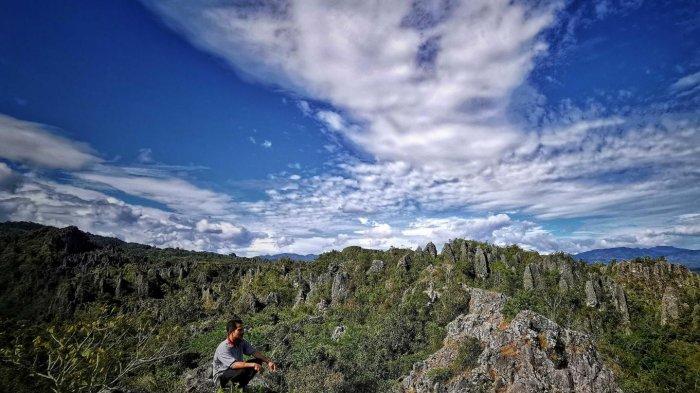 Stone Forest Tangrante, Objek Wisata Treking di Ketinggian Toraja Utara ...