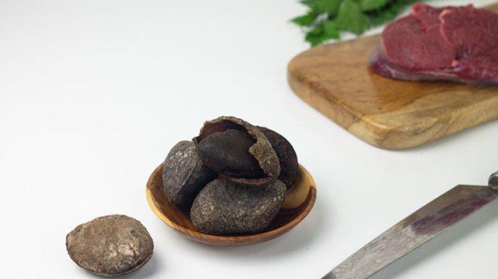 Manfaat dan Kandungan Pangi, Tanaman Serbaguna yang Munculkan Istilah ...