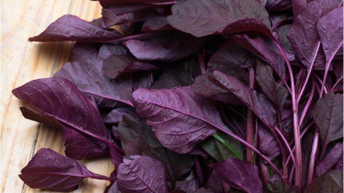 Segudang Manfaat Bayam Merah untuk Kesehatan, Bisa Cegah Diabetes ...