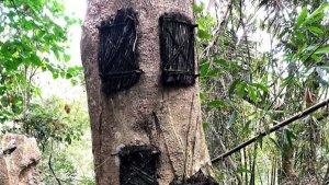 Mengenal Aluk Todolo, Ajaran Leluhur Masyarakat Toraja. Sejarah dan Aturan Hidup - Tribuntoraja.com