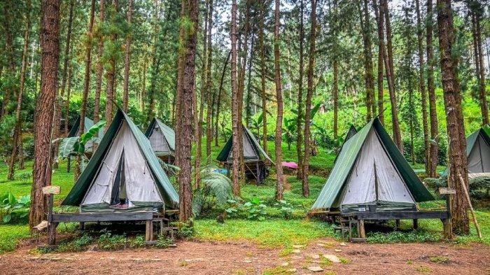 Panduan Rute Menuju Rumah Angsa, Wisata Hidden Gem di Guci, Kabupaten ...