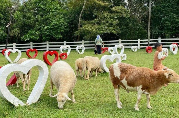 Harga Tiket Masuk Asia Farm Pekanbaru yang Hits, Cocok untuk Liburan ...