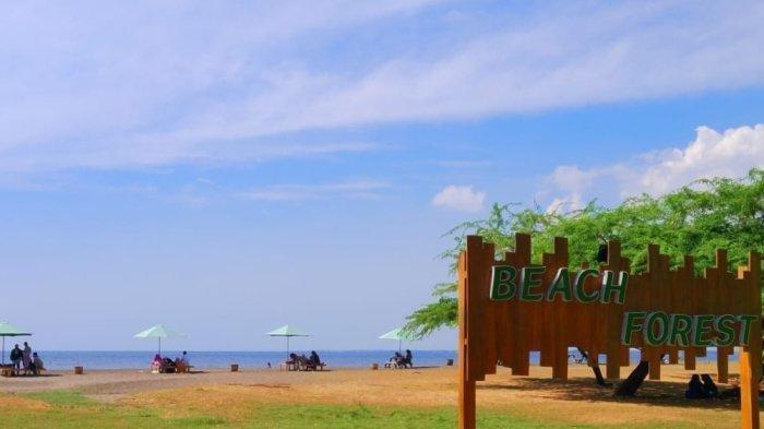 Serunya Mengunjungi Beach Forest di Kendit, Situbondo, Jawa Timur, Bisa ...