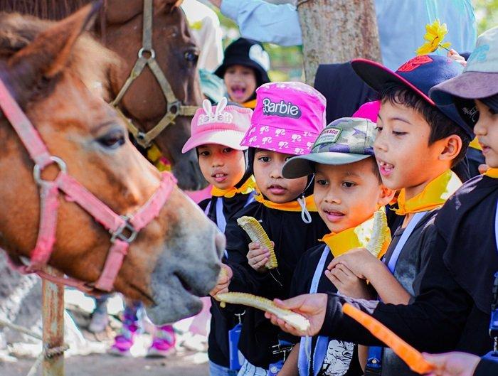 Harga Tiket Masuk Central Park Zoo & Resort Terbaru, Wisata Hits yang ...