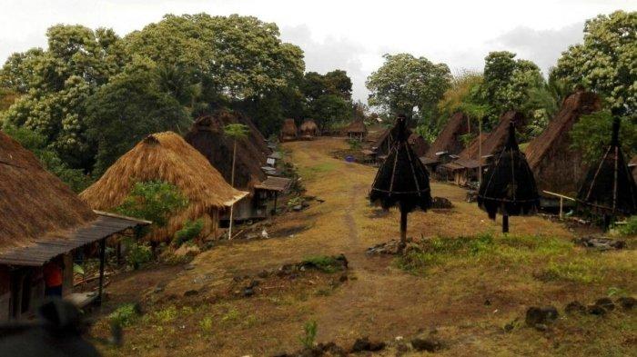 Pesona Desa Wisata Keligejo di Ngada NTT yang Tawarkan Pengalaman ...