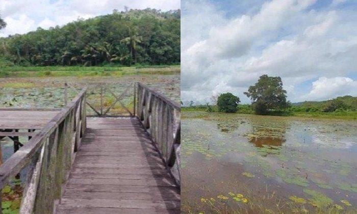 Intip Pesona Guntung Alami di Desa Guntungbesar, Tanah Laut, Kalsel ...