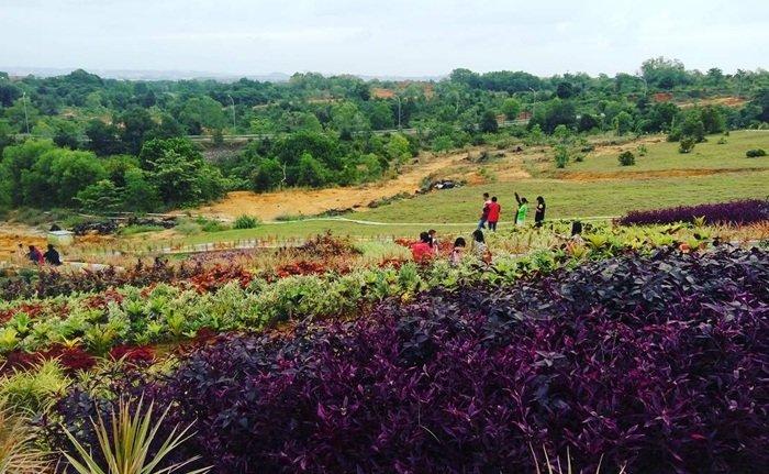 Tiket Masuk Gratis, Intip Daya Tairk Kebun Raya Batam yang Cocok untuk ...