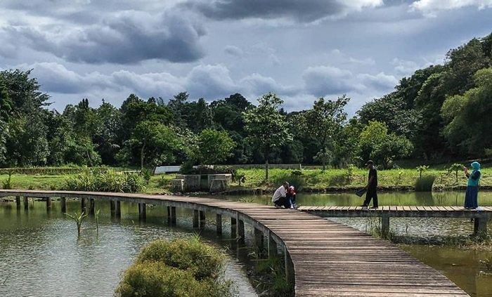 Intip Daya Tarik Kebun Raya Cibinong, Hutan Mini Khas Indonesia di ...