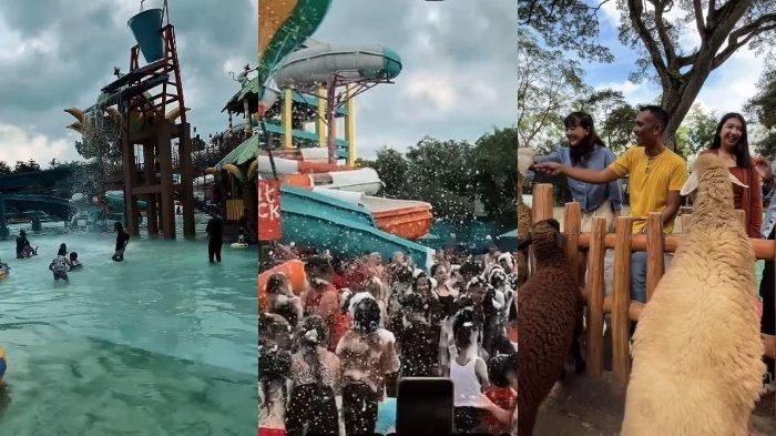 Berita New Wisata Wendit Terbaru Hari Ini - Tribun Travel