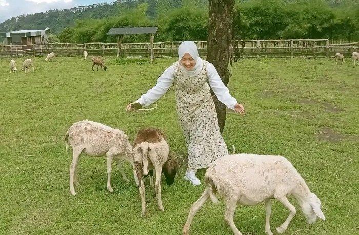 Padukan Wisata Alam dan Edukasi, Kunjungi Menggala Ranch di Pekuncen ...