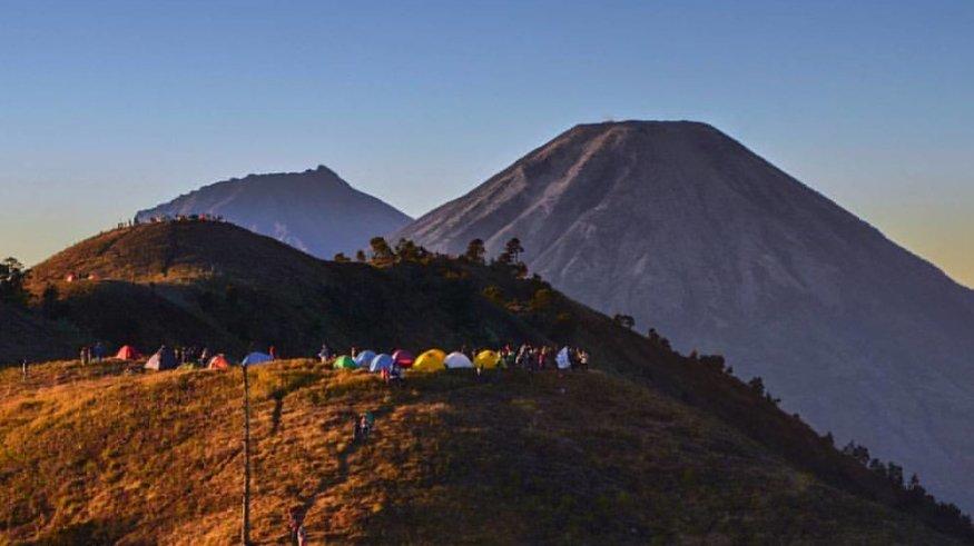 Itinerary Pendakian Gunung Sindoro via Kledung 2 Hari 1 Malam, Start Wonosobo Bujet Rp 200 Ribu ...