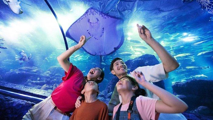 Harga Tiket Masuk Sea World Ancol, Tempat Wisata dengan Oceanarium ...