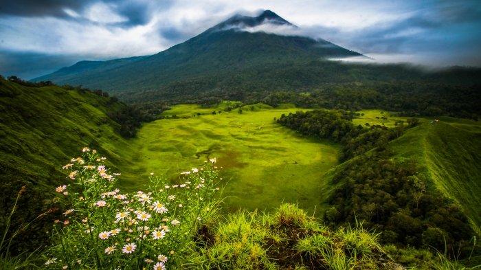 Liburan ke Bukit Kondo dan Savana Propok: Harga Tiket Masuk, Lokasi ...