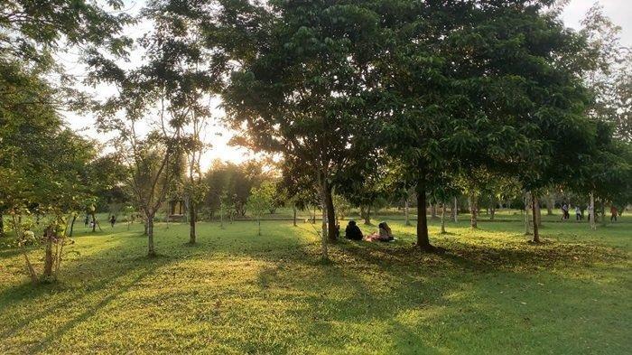 Intip Keseruan Piknik di Kebun Raya Banua Banjarbaru, Tiket Masuknya ...