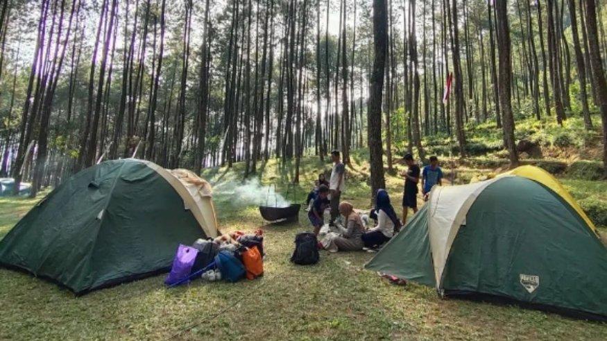Harga Tiket Masuk Pinea Forest Mangli, Wisata Hutan Pinus di Magelang ...