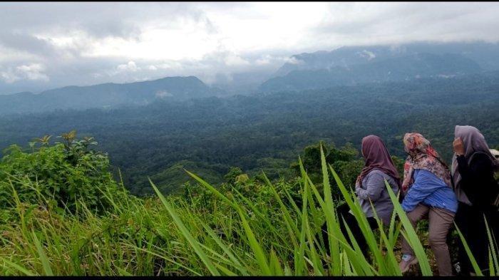Puncak Gunung Titi di HST, Kalsel Suguhkan Hamparan Awan Putih, Cek Lokasi dan Aksesnya - Tribun ...