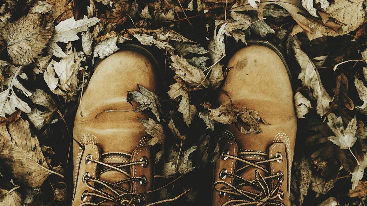 5 Sepatu Hiking Pria Terbaik untuk Petualangan, Harga Mulai Rp 100 ...