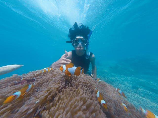 Pulau Abang Jadi Spot Snorkeling Favorit di Batam, Kepri, Wisatawan ...