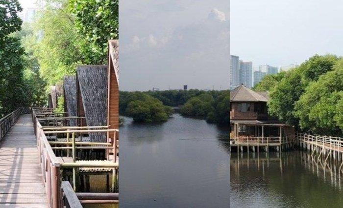 Taman Wisata Alam Angke Kapuk, Tempat Wisata untuk Healing di ...