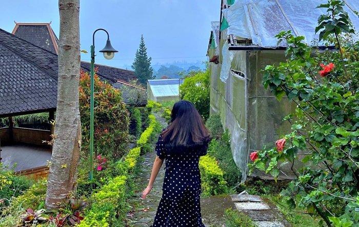 4 Daya Tarik Wisata Agro Inkarla di Cipanas, Cianjur, Jawa Barat, Cek ...