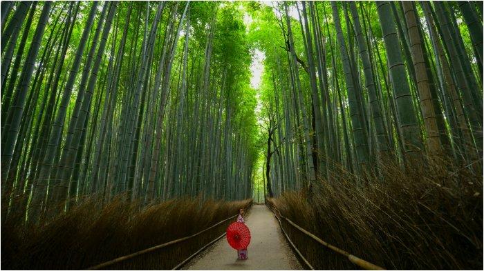 8 Tempat Wisata di Kyoto yang Wajib Dikunjungi saat Liburan ke Jepang ...