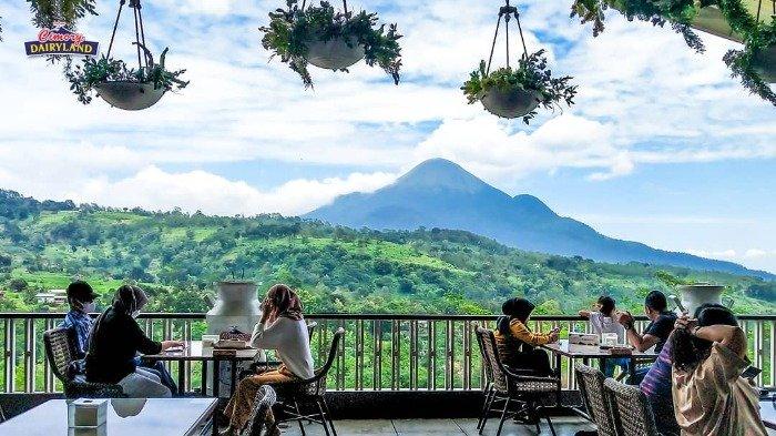 Simak! Harga Menu Makanan di Restoran Cimory Dairyland Prigen - Tribun ...