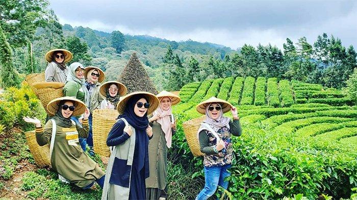 Harga Tiket Masuk Asstro Highlands Ciater September 2021, Wisata Kebun ...