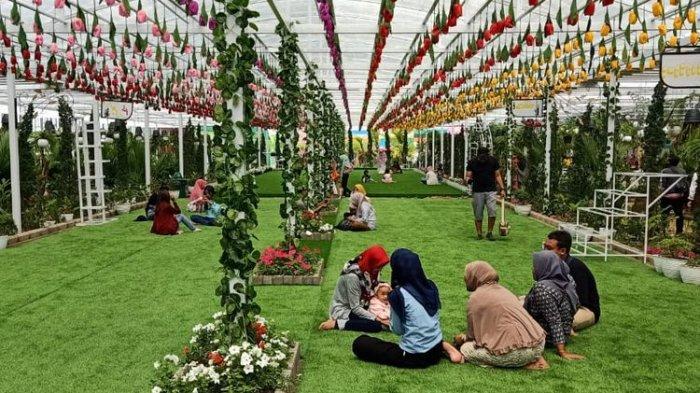 Florawisata San Terra de Lafonte, Tempat Wisata Bunga di Malang yang ...