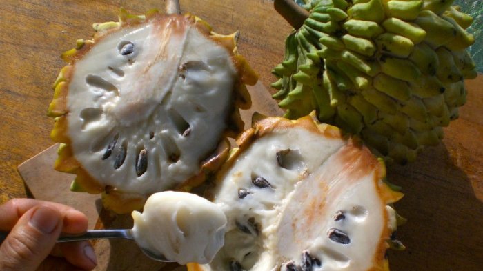 9 Buah Eksotik nan Langka di Dunia yang Namanya Jarang Didengar, Ada ...