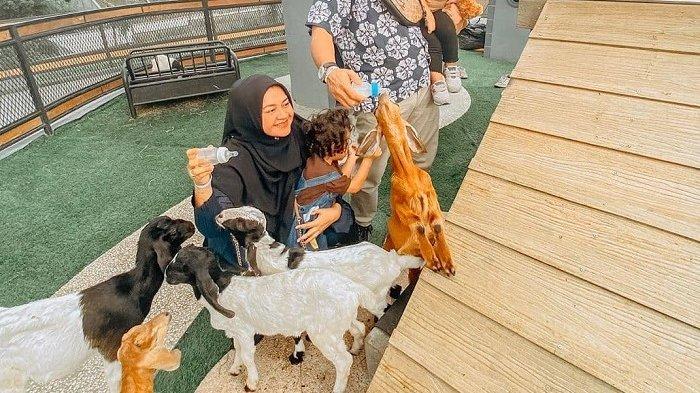 Harga Tiket Masuk BoxZoo Bogor, Ada Paket Wisata Berkuda Mulai Rp 75 ...