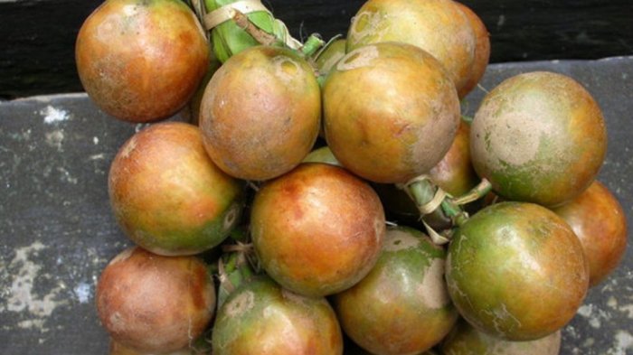 5 Buah Asli Indonesia yang Namanya Jarang Terdengar, Tahu Buah Rukem ...
