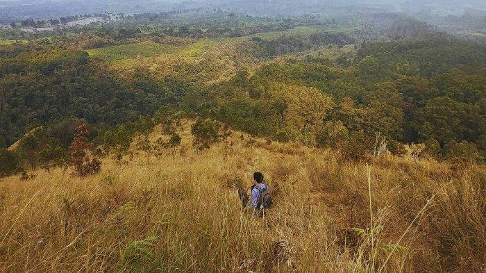 Budug Asu, Tempat Wisata di Kaki Gunung Arjuna yang Memukau - Tribun Travel
