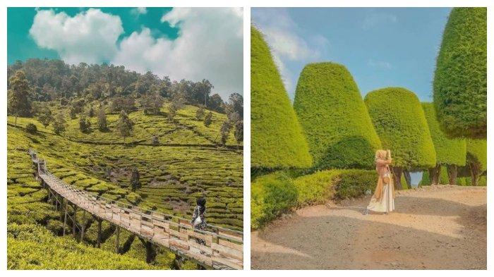 Harga Tiket Masuk Bukit Jamur Rancabolang, Tempat Wisata Instagramable ...