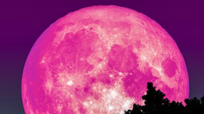 Fakta Bulan Pink, Bulan Purnama Paling Unik yang Puncaknya Akan ...