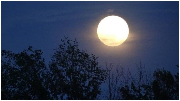 Fenomena Langit Malam Ini Bulan Purnama Strawberry dan Gerhana Bulan ...
