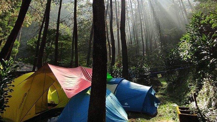 Harga Tiket Masuk Curug Cilember 2021, Ada Area Camping hingga Wahana ...