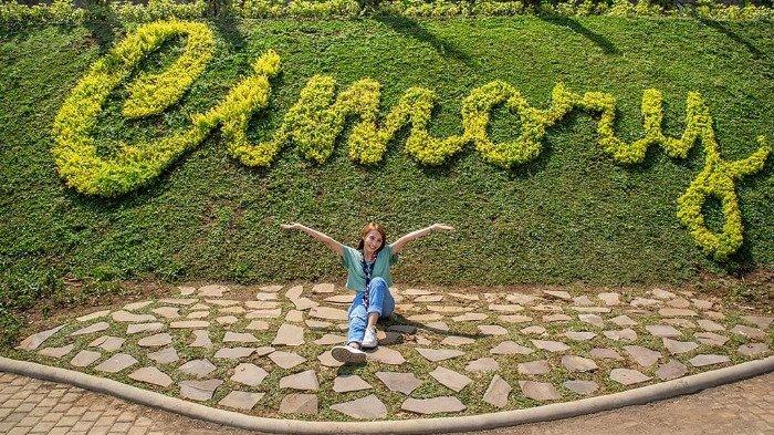 Harga Tiket Masuk Wisata di Cimory Dairyland Prigen Terbaru, dari ...