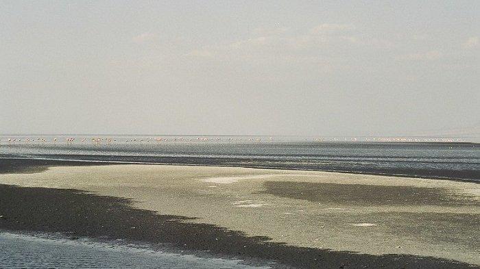 Indah tapi Mematikan, Ini 7 Fakta Unik Danau Merah Tanzania yang ...