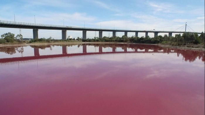 Misteri Danau Pink di Australia Terpecahkan, Ternyata Ini Penyebabnya ...