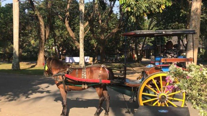 Fakta Unik Delman, Transportasi Tradisional Indonesia yang Punya Banyak ...