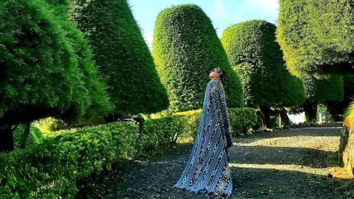 Harga Tiket Masuk Bukit Jamur Rancabolang, Tempat Wisata Populer ...