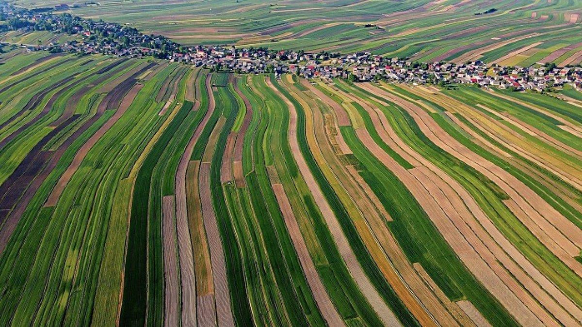 Indahnya Desa Suloszowa di Polandia, 6.000 Penduduknya Tinggal di Jalan ...