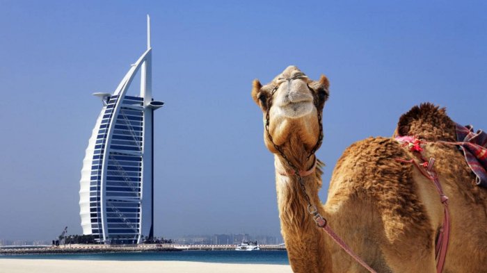 Terkenal dengan Sederet Kemewahannya, Dubai Juga Punya 7 Kegiatan ...