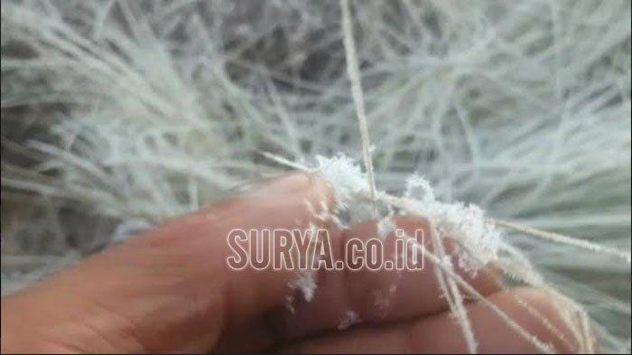 Perbedaan Salju dengan Embun Beku di Bromo dan Semeru - Tribun Travel