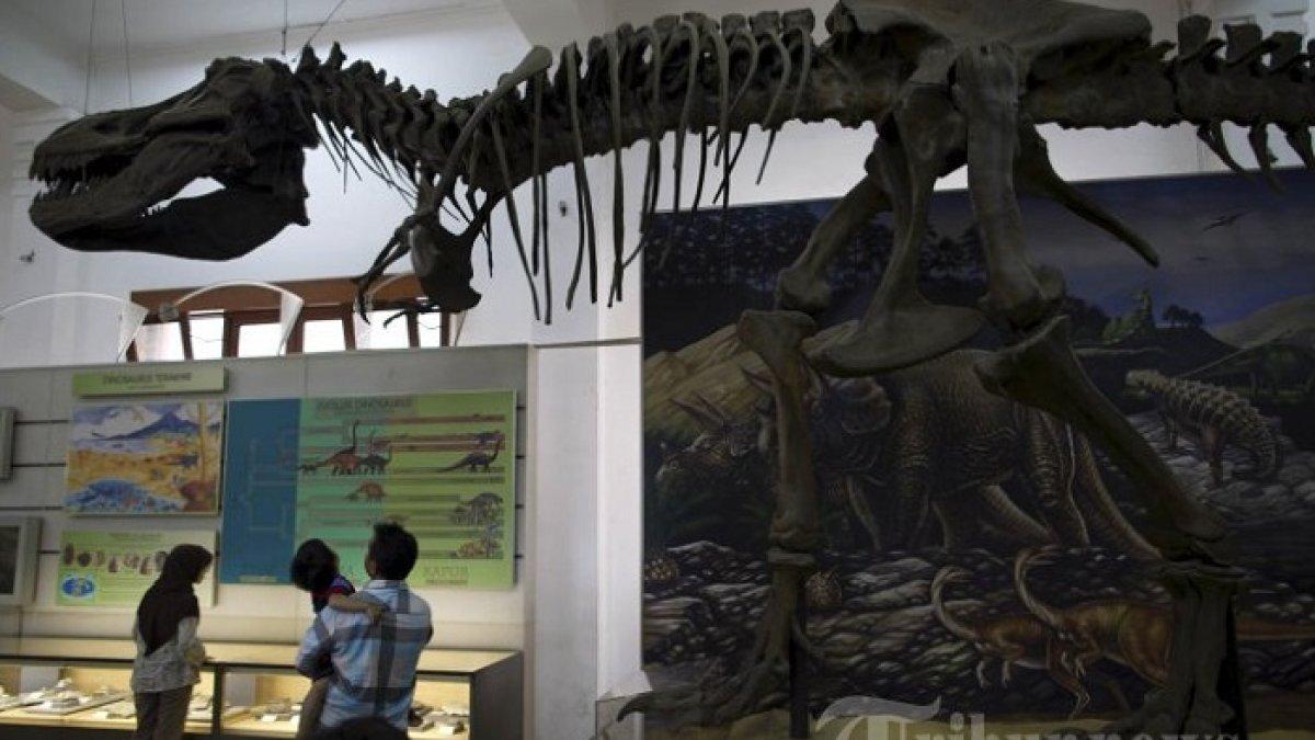 Harga Tiket Masuk Museum Geologi Bandung Terbaru, Wisata Edukatif yang ...