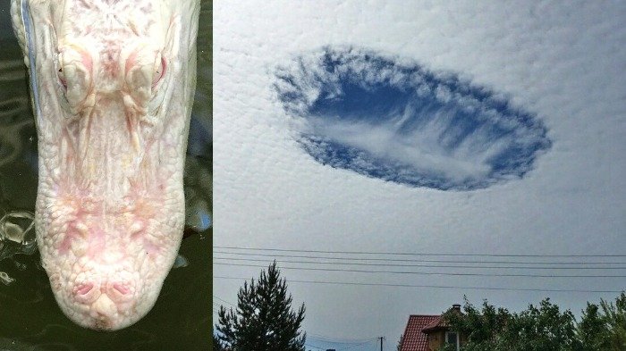 15 Potret Tak Biasa Ini Curi Perhatian Netter, Ada Mobil Emas ...