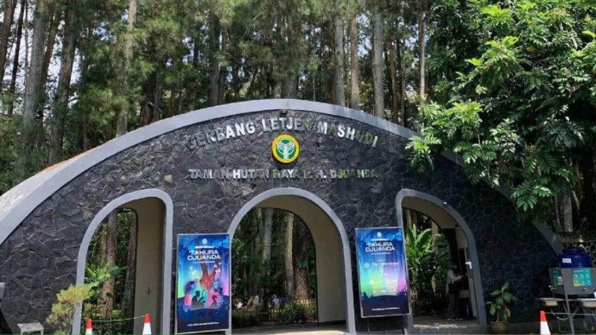 Asyiknya Menikmati Alam di Tahura Ir H Djuanda, Tempat Wisata di ...