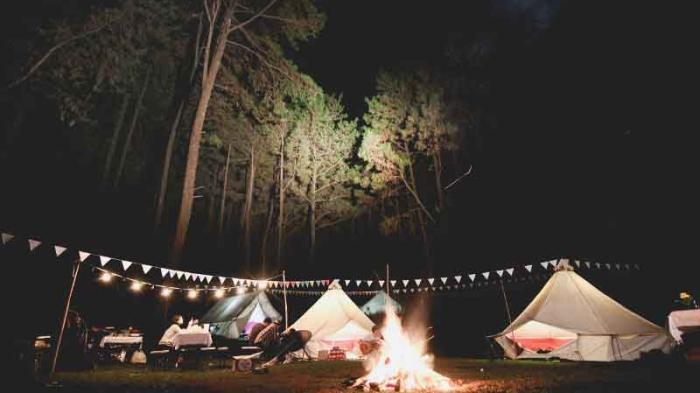 Gunung Pancar Sentul - Lengkapi Foto Liburanmu Dengan Camping di Hutan ...