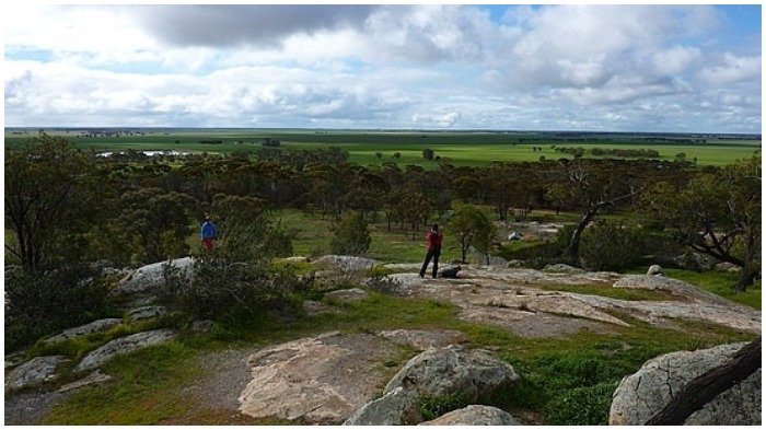 Mengenal Gunung Wycheproof, Gunung Terkecil di Dunia yang Ada di ...